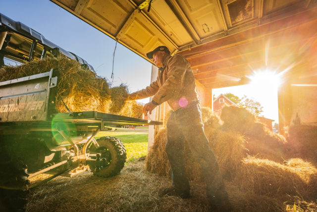 Photo Galleries - Landmaster